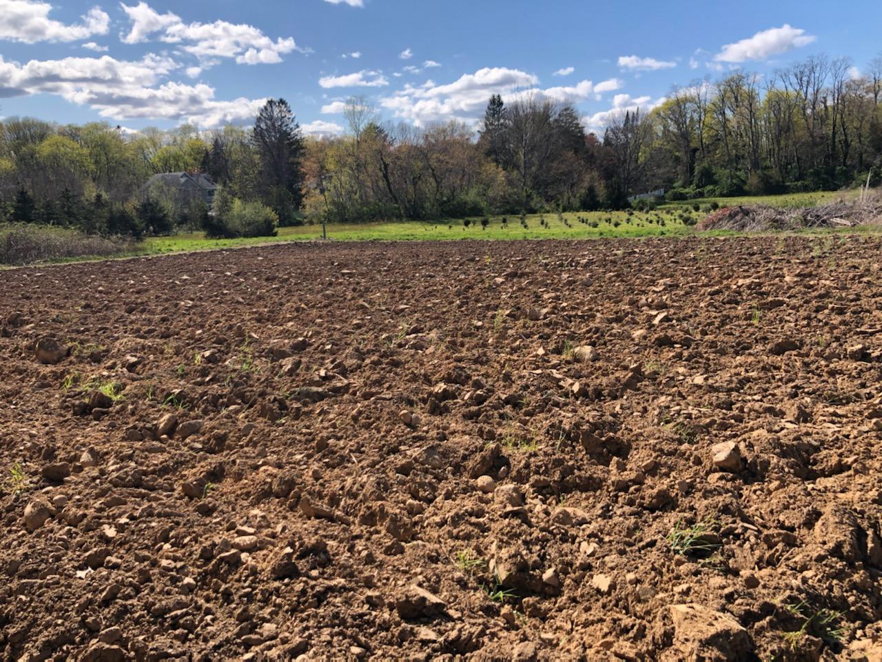 Tilden Lane Farm | A Family Tradition for over 225 Years.